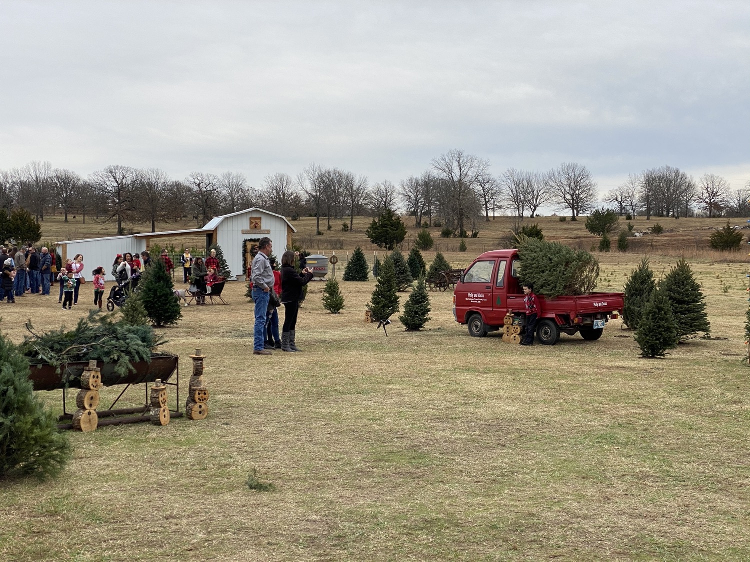 Bristow Christmas tree farm thrives on the old-fashioned Christmas ...