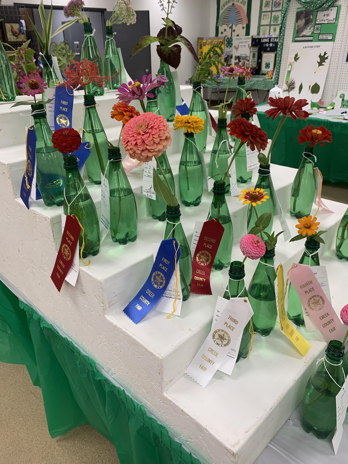 Creek County Fair: 2021 Flower Show Results – Sapulpa Times