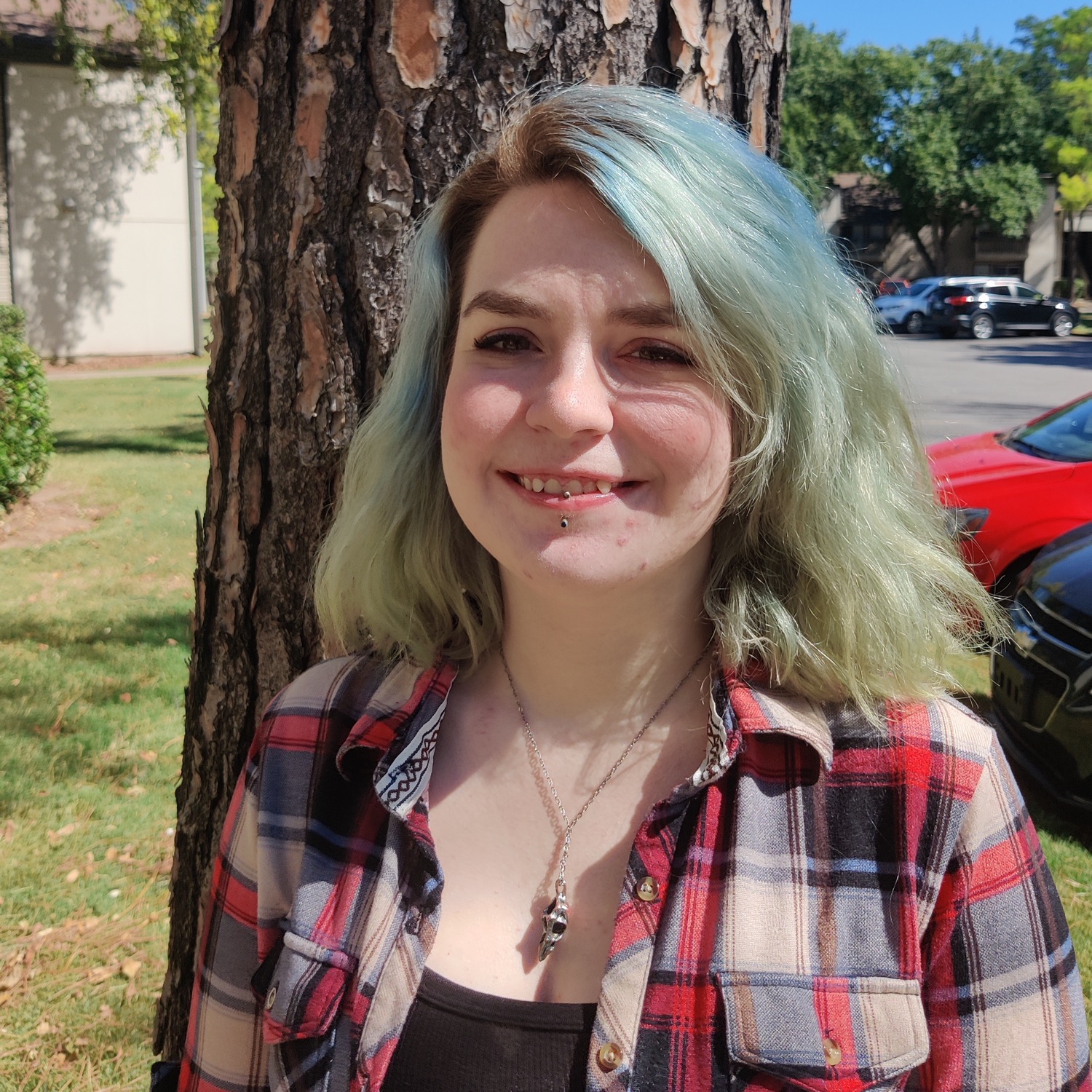 The Beginning of a Dream Come True: What it’s been like writing for ...