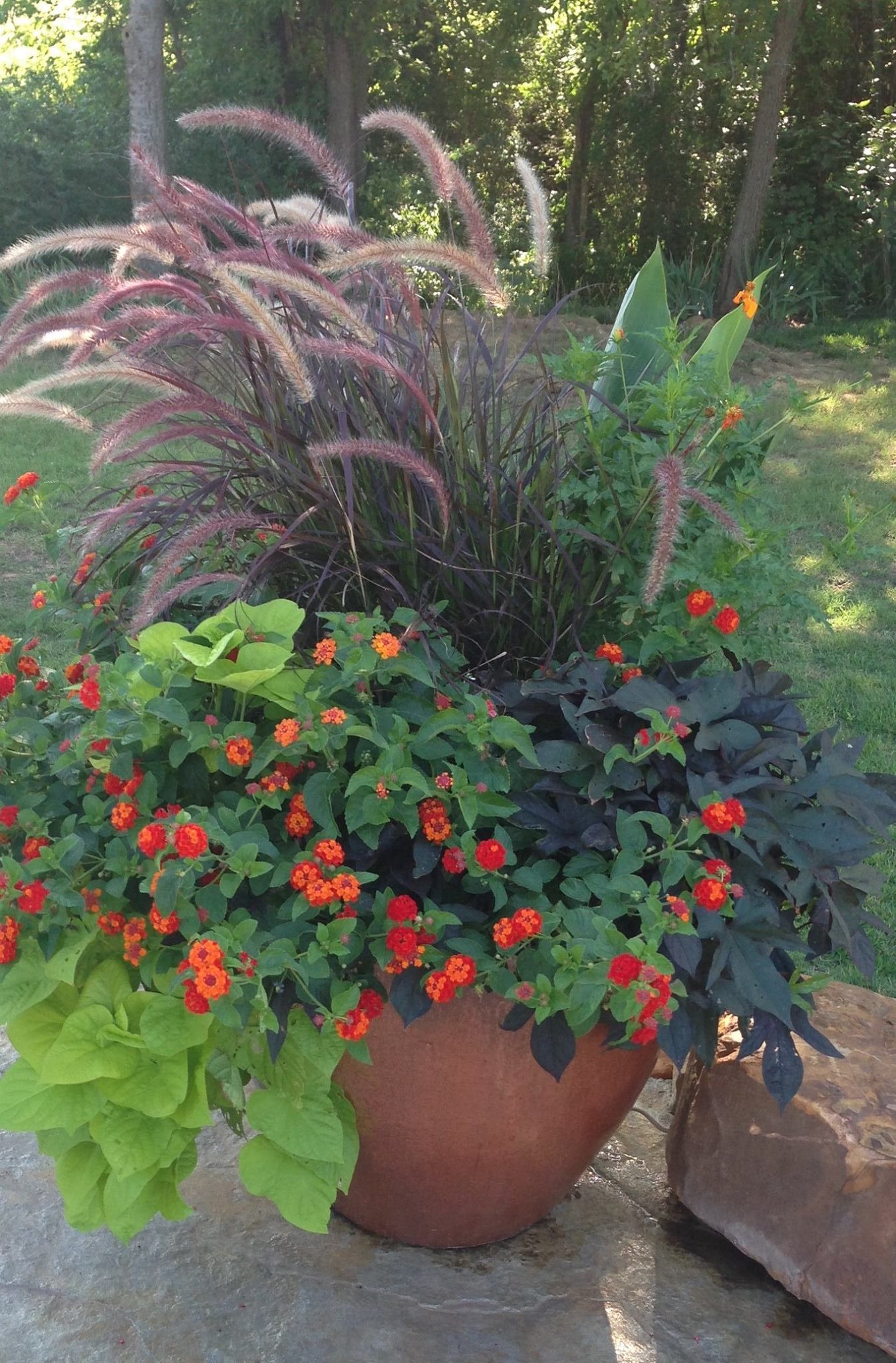 How to plant beautiful containers and pots – Sapulpa Times