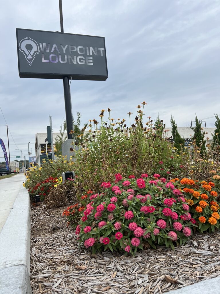 Sapulpa’s pollinator beds are seeing success – Sapulpa Times