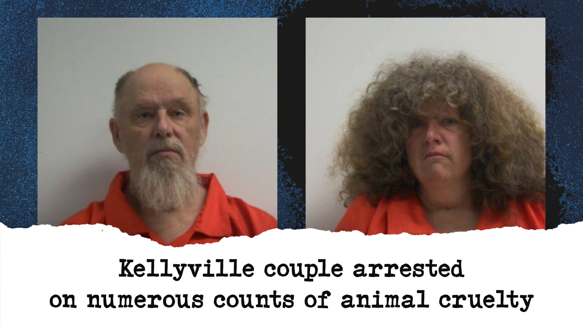 Kellyville couple arrested on animal cruelty charges after police find ...